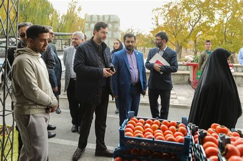 از برگزاری جشنواره خرمالو کن تا ایمن سازی پل بزرگراه امام علی ع