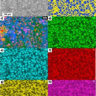 a SEM EBSD band contrast b phase map Laves ¼ yellow B2 ¼ blue c Download Scientific