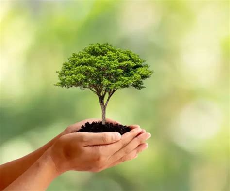 Biología Que Estudia La Contaminación Ambiental Euroinnova