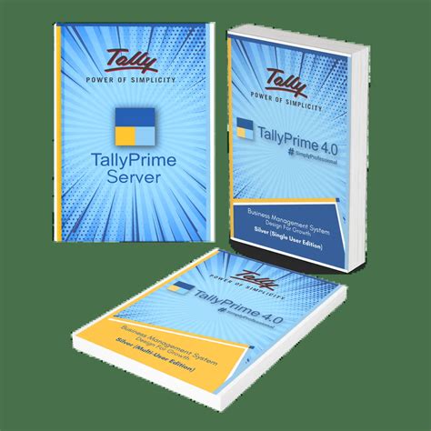 Beginner S Guide To Tally Prime Master Accounting Easily