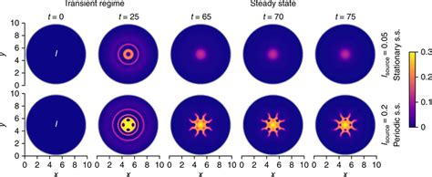 Time Evolution Of The Density Of Infected Persons Ix Y T For A