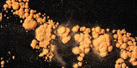 The Strange And Wonderful World Of Mushroom Reproduction Nublume Mushroom