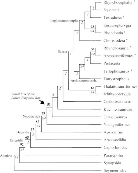 Most Parsimonious Tree Of The Phylogenetic Analysis Of Diapsid Reptiles