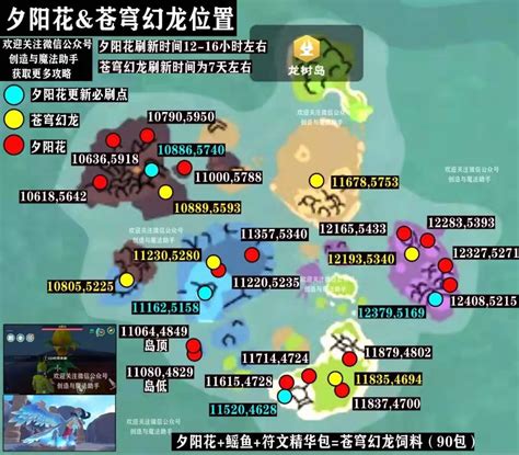 创造与魔法夕阳花位置图 2022夕阳花位置及刷新时间 下载家园