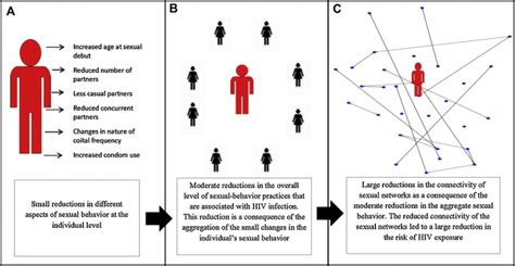 Conceptual Diagram To Illustrate Our Hypothesis Interpreting The Download Scientific Diagram