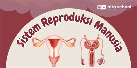 Mengenal Sistem Reproduksi Manusia Pada Wanita Dan Pria