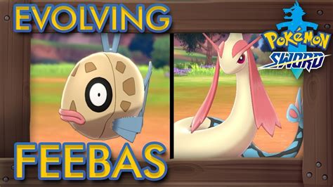 Pokemon Feebas Evolution