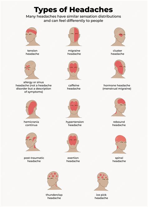 Premium Vector Medical Infographictypes Of Headache Medical Poster And Infographicneurology