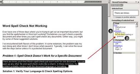 Word Spell Check Not Working Productivity Portfolio
