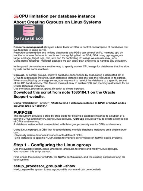 Cpu Limitation Per Database Instance Pdf Central Processing Unit Process Computing