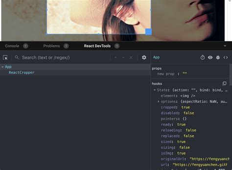 Function Passed To Crop Prop Doesnt Get Updated Cropper Instance · Issue 254 · React Cropper
