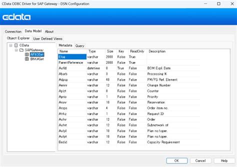Cdata Sap Driver Deep Dive Use Sap Gateway Service Builder For Sap S