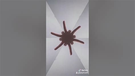 ტიკტოკ Youtube