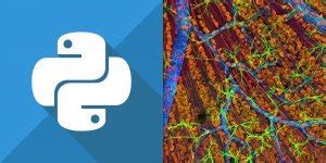 Python 使用 Pydicom 讀取編輯 DICOM 影像檔案教學與範例 Office 指南