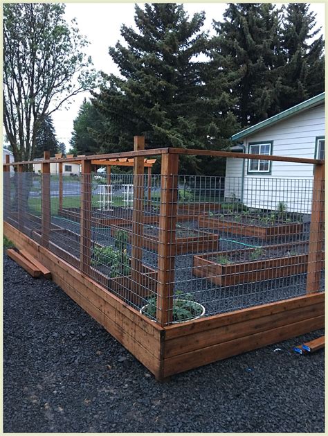 Deer Proof Garden Fence Ideas Artofit