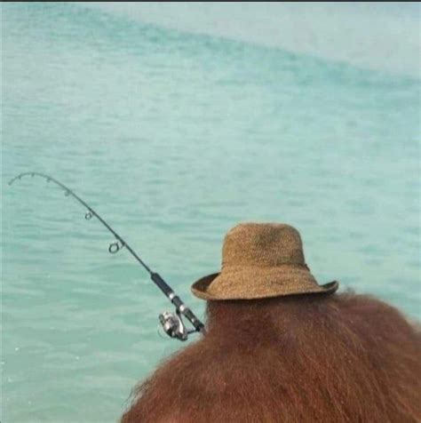 Create Meme Fishing Dude Catfish Fishing Pictures Meme