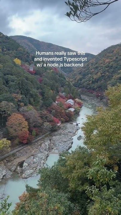 Fr😂😂frontenddeveloper Developer Backenddeveloper Softwareengineer Fypシ゚ Fypviral