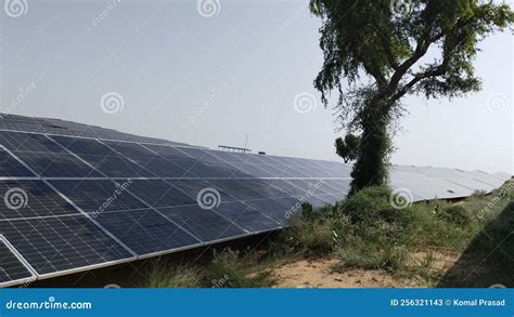 Tree In Between Solar Module Stock Image Image Of Roof Tree
