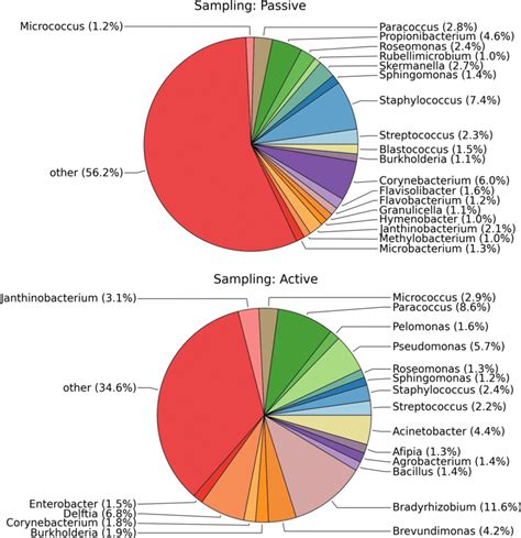 Taxonomic Classification Of Bacteria 16s Rrna Gene Amplicon Library Download Scientific