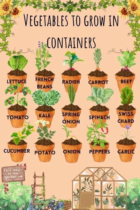 Cass Magic Cassmagic Profile Pinterest