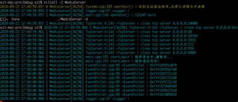 Starting And Stopping The Server ZLMediaKit