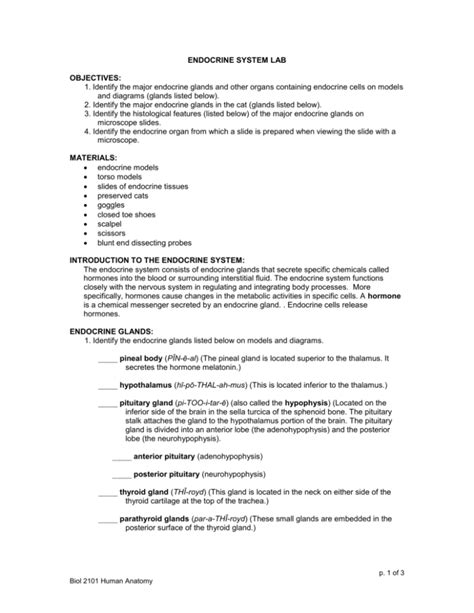 Endocrine System Lab Manual Anatomy Histology