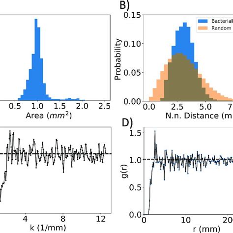 Computational Model Spatial Structure And Merging A D Spatial