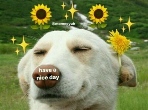Have A Happy Day Meme