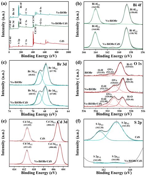 Xps Survey Spectra Of Vo Biobr Cds And Vo Biobr Cds A Download Scientific Diagram
