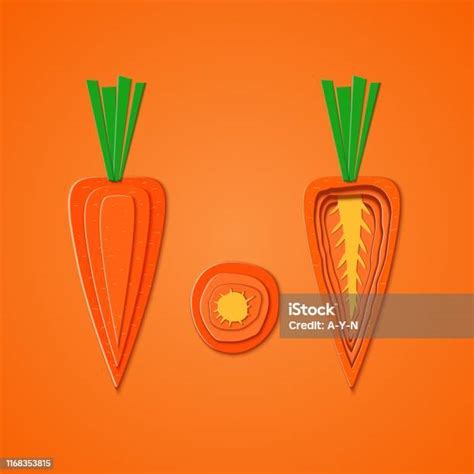 종이 컷 오렌지 당근의 집합입니다 벡터 종이 컷 디자인 식품 포장의 디자인에 대한 전체 익은 당근 과 슬라이스의 형태로 벡터 그림입니다 종이 아플리케 Vegitable 종이