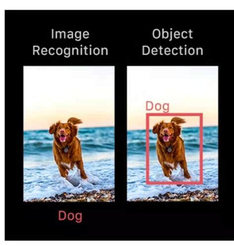 使用 Yolo 进行目标检测 Csdn博客