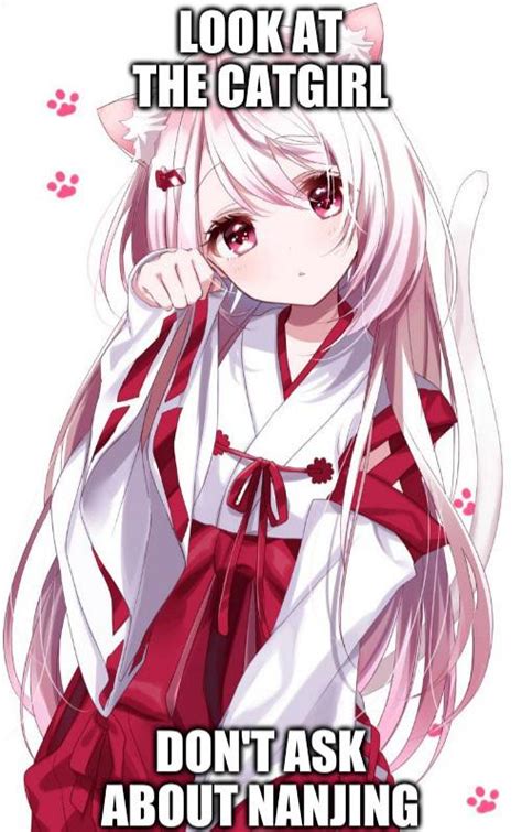 Please Don T Scrolller