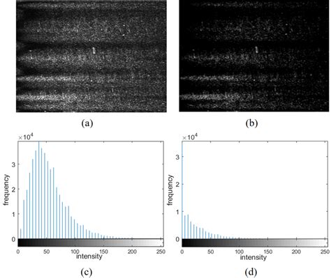 Original SSS Image And Preprocessed Image A A Representative SSS Download Scientific Diagram