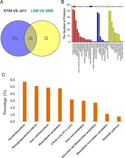 Results Of Venn Diagram Analysis And Go And Pathway Enrichment