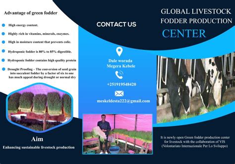 Admasu Abera On Linkedin Selale Business Research Funding Innovativesolutions