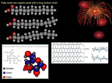 Intro To Cellular Resp Ppt Intro To Cellular Resp Ppt