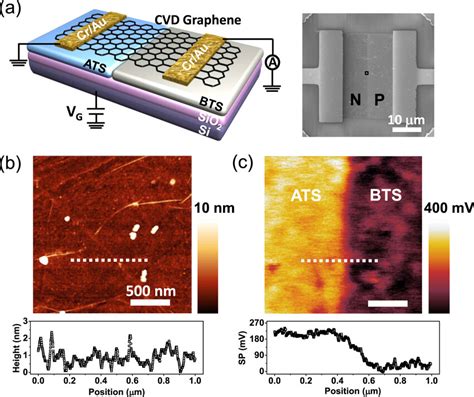 A Schematic Illustration And Sem Image Of The Graphene Pn Junction Download Scientific