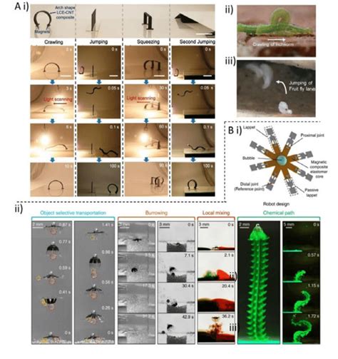 A I Multimodal Locomotion Of The Soft Robot Made Of Elastomer Carbon Download Scientific