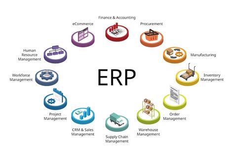 프로젝트 관리 Erp 벡터 Freepik에서 무료 고품질 벡터를 다운로드하세요 Freepik