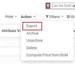 How To Export Data In Odoo 13