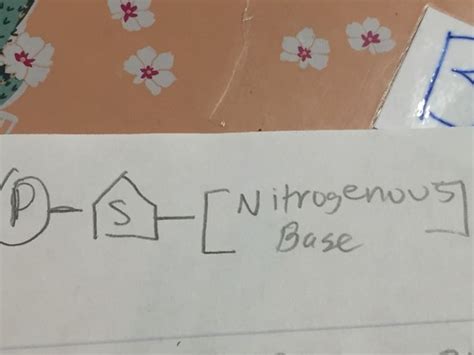Macromolecules 1 Flashcards Quizlet