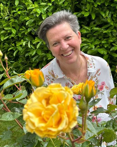 How Small Engine Ignition System Works Lawnmowerfixed