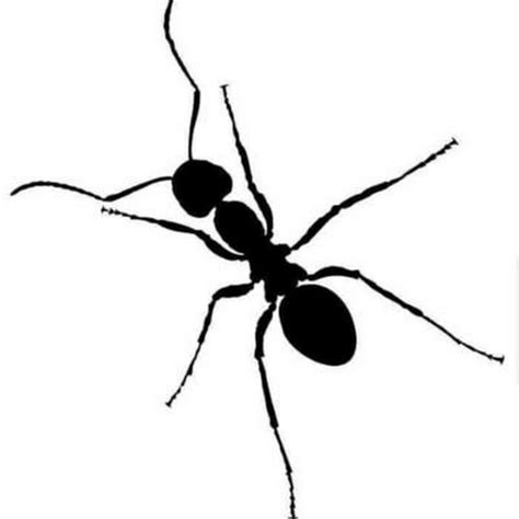 William John Youtube