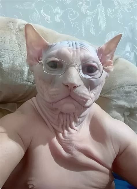 БЭТ Í ж ás à i y t ВЧ rií iflLij anon cats mild erotica erotic 18