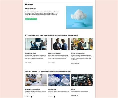 Netapp Partner Web Content Syndication Program Netapp