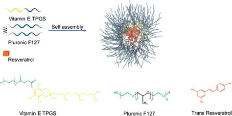 Schematic Illustration For The Preparation Of Resveratrol Loaded Download Scientific Diagram