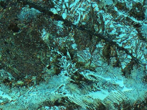 Grey Iron Microstructure Received From The Contact Area With Modified