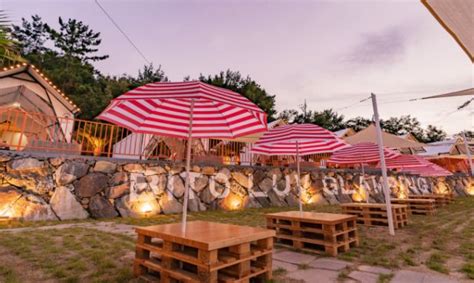 블로거 인스타 유튜버 크리에이터 너말이야 너 드루와 ~ 포블로그 블로그 체험단 마케팅 서비스