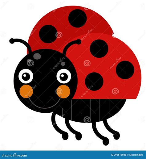 Insect Ladybug Beetle Cartoon Illustration
