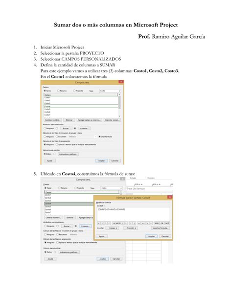 PDF Sumar dos o más columnas en Microsoft Project